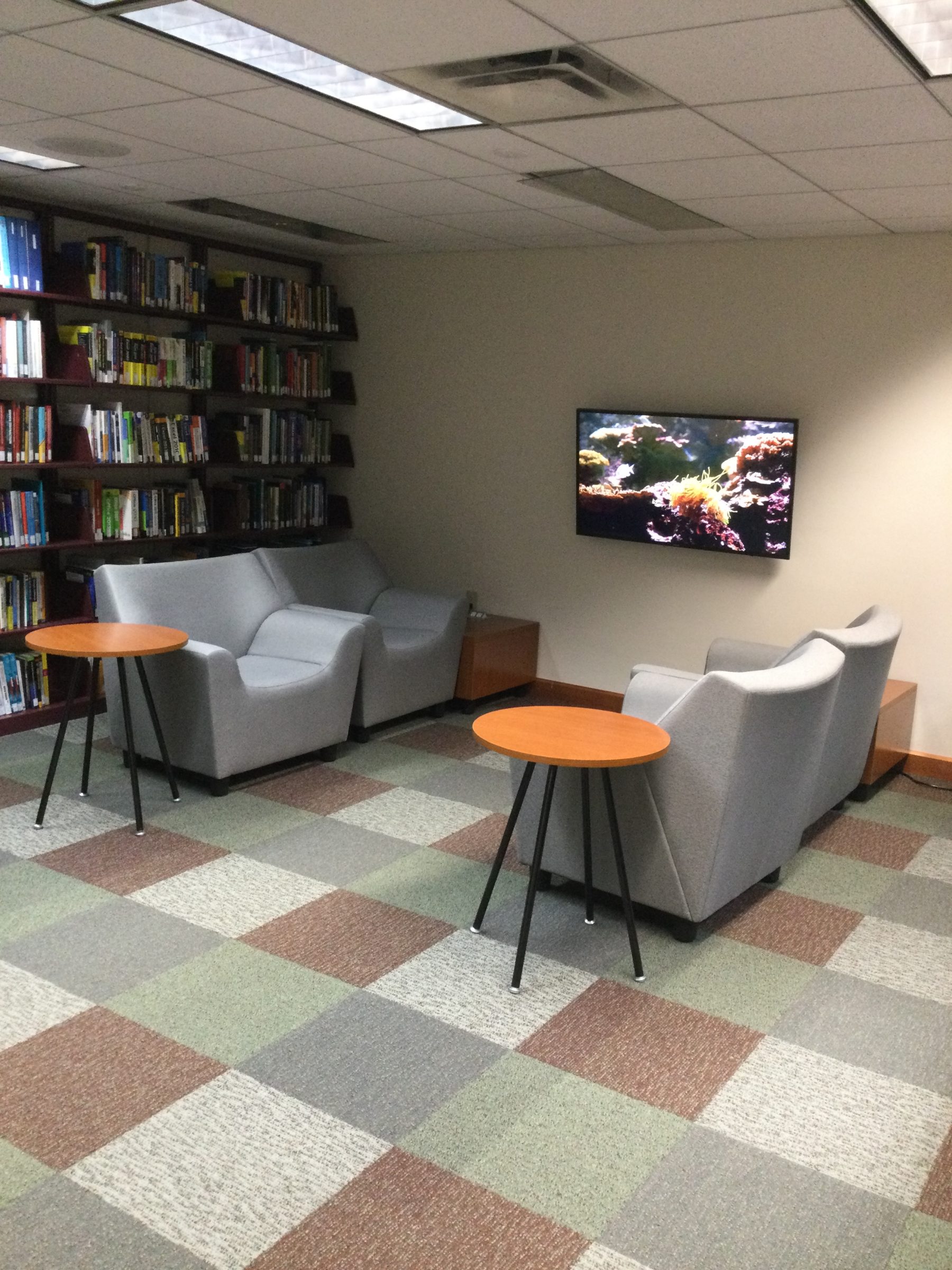 Study in the Stacks – Lichtenberger Engineering Library