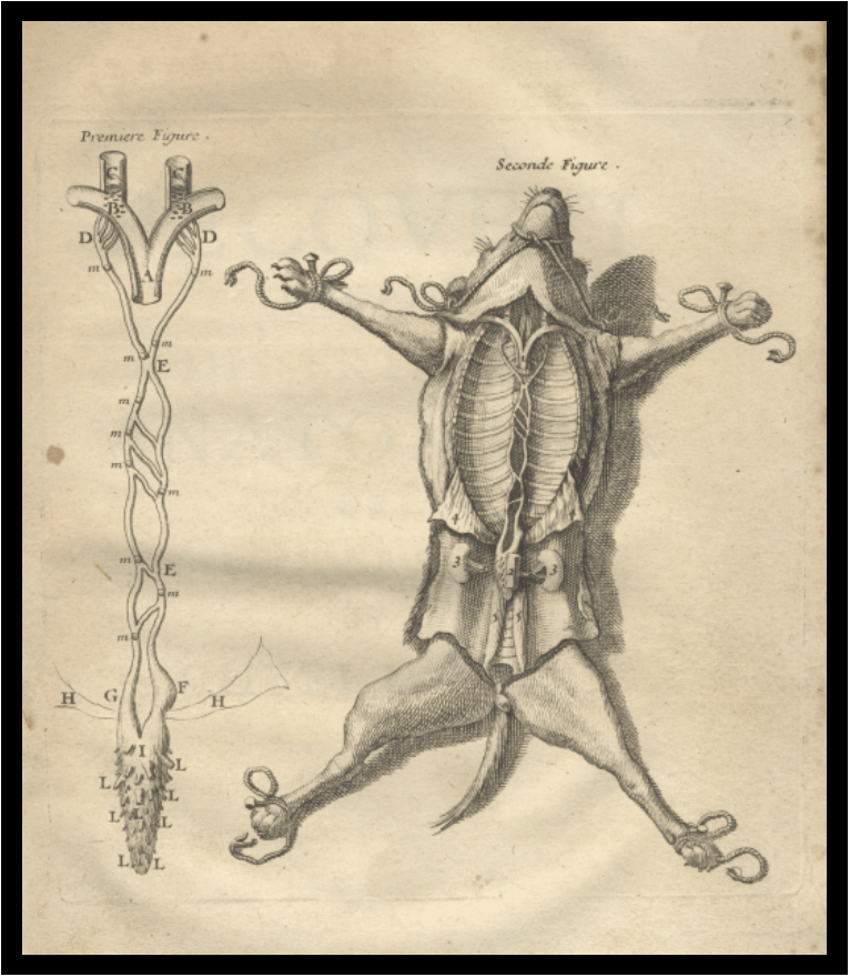 Notes from the John Martin Rare Book Room – Jean Pecquet – Hardin News