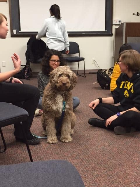 Therapy Dogs @Hardin Library | Saturday, Dec. 12, 2pm-4pm – Hardin News