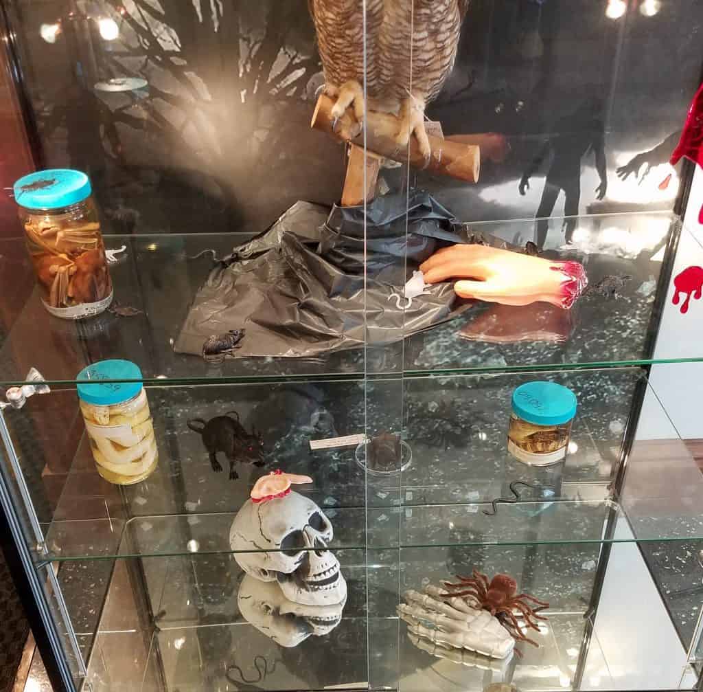 Halloween Exhibit – Sciences Library News