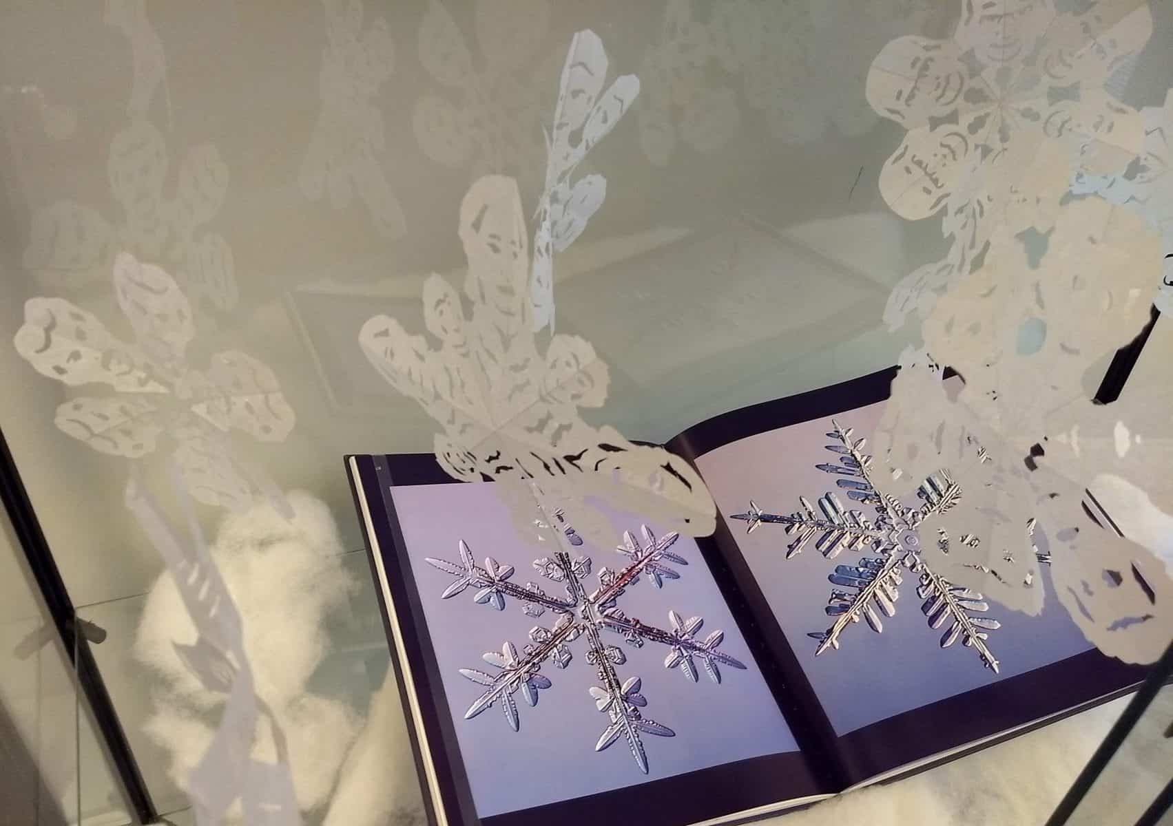 Snowflakes & Snow Exhibit – Sciences Library News