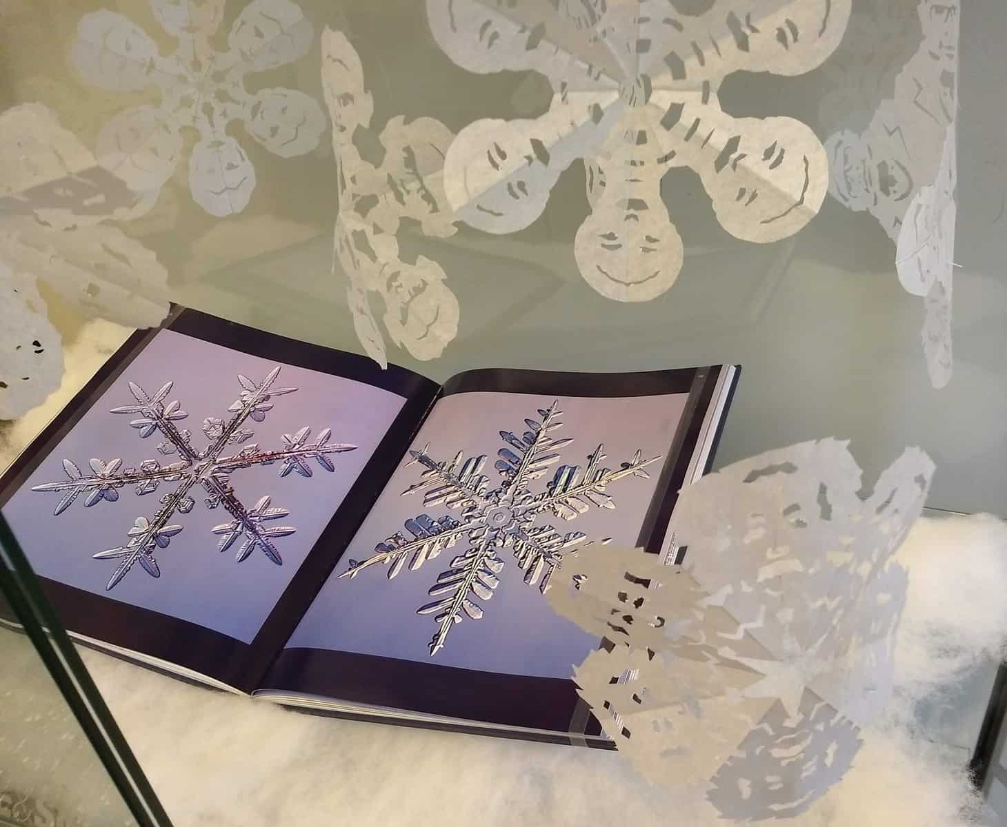 Snowflakes & Snow Exhibit – Sciences Library News