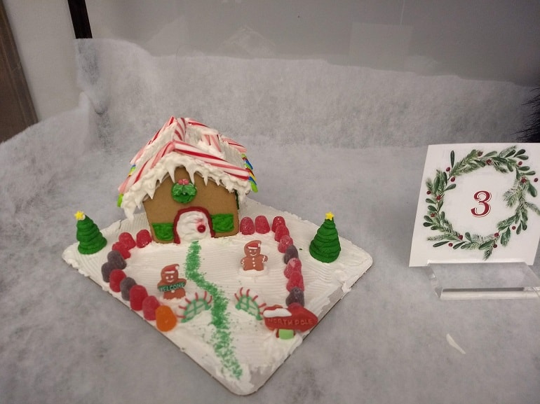 Vote for your favorite gingerbread house! – Sciences Library News