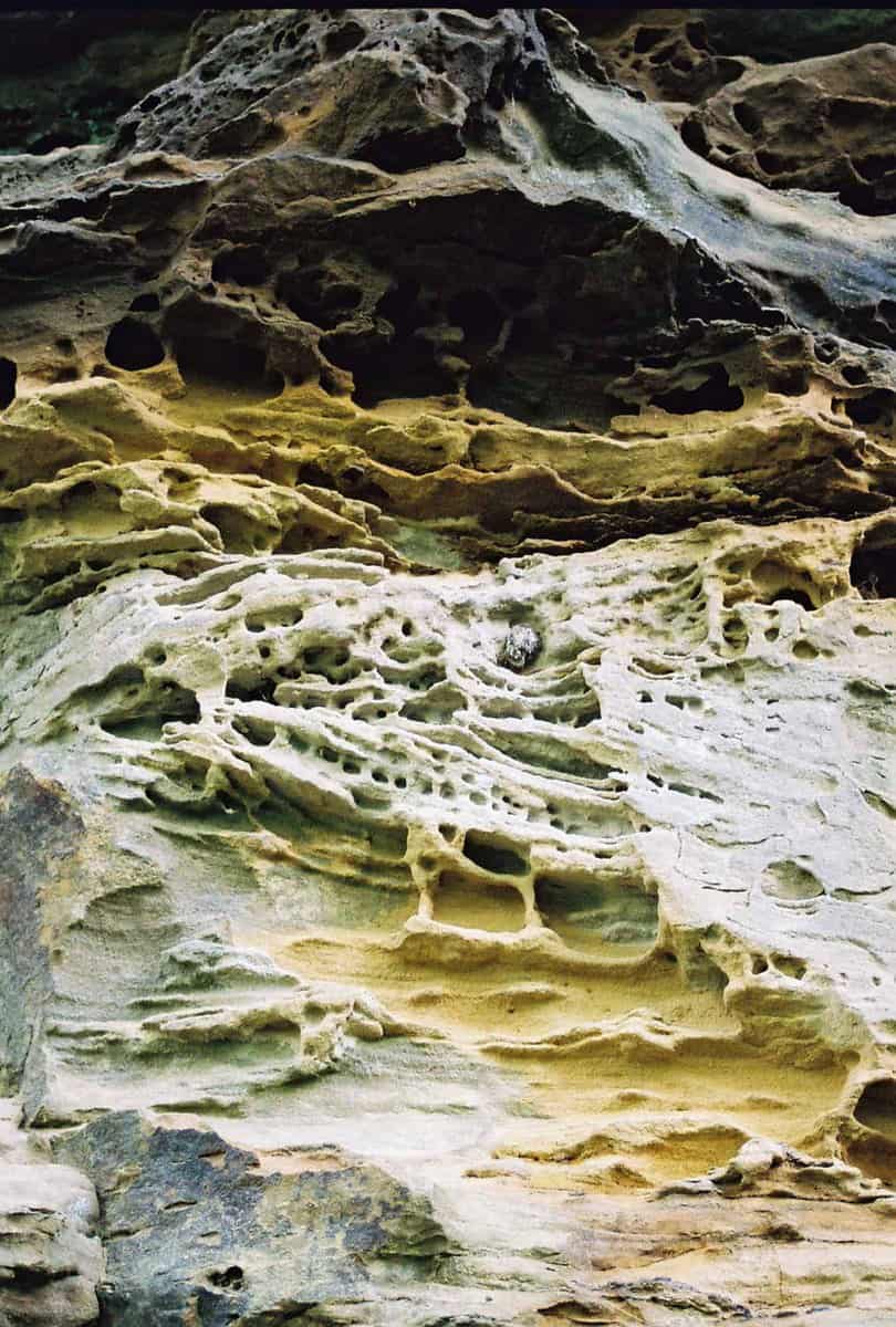 Iowa Rocks! – Sciences Library News