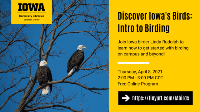 Discover Iowa’s Birds: Intro to Birding – Sciences Library News