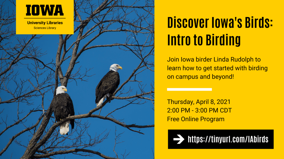 Discover Iowa’s Birds: Intro to Birding – Sciences Library News