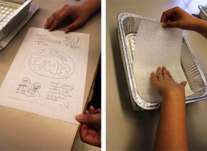 What the Hectograph?!?! – News & Announcements