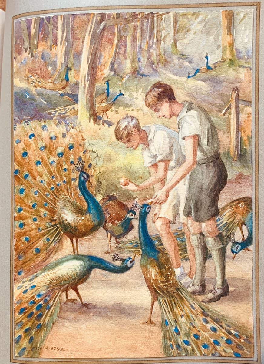 Ida Bogue’s Handmade Adventure – News & Announcements
